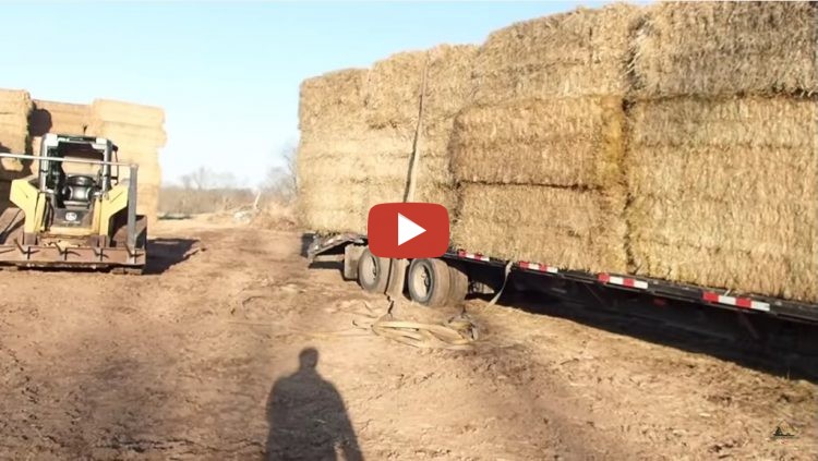 Sorting Hay Bales. just another job to do here on the farm ...