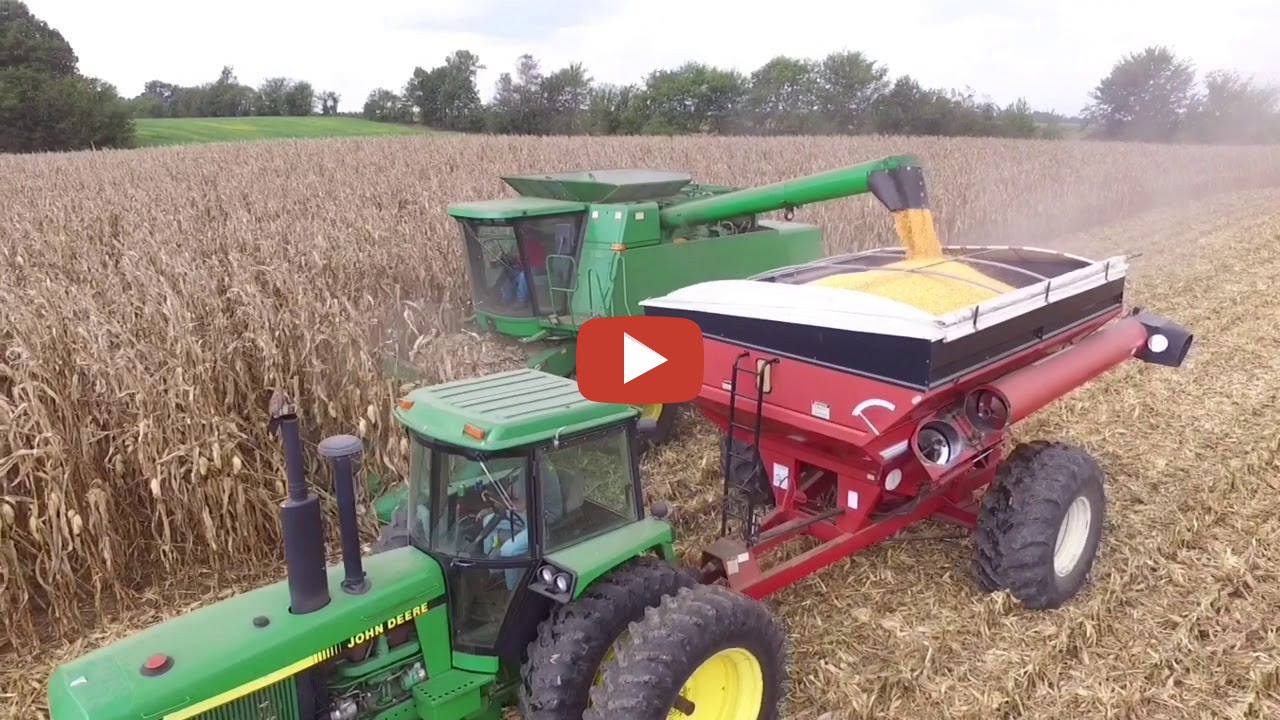 Fall Harvest from around Western Kentucky. Including several farms ...