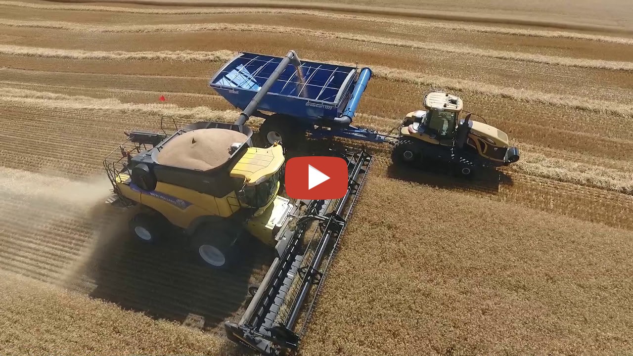 Harvesting in Central Alberta With two CR 8090 New Holland combines and ...