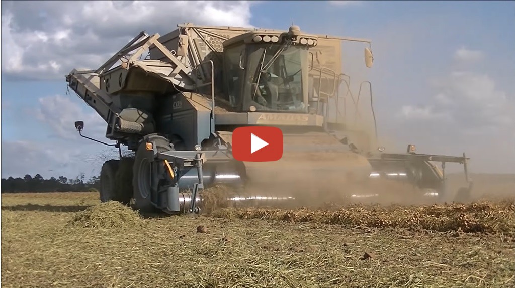 Rentz Family Farms is combining peanuts on the Airbase Farm in southern ...