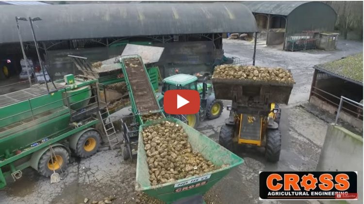 Lisbeg Farms 2018 - Making Feed Chopped fodder Beet, Beet pulp and ...