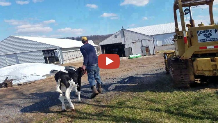 The Farming Life -- The farmer's son won the battle chasing Prime show ...