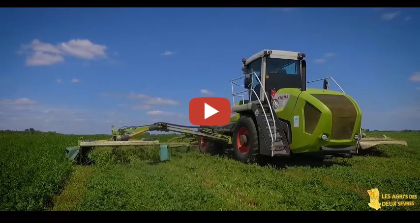 UNIQUE CLAAS COUGAR IN FRANCE ! - Biggest mower of the world