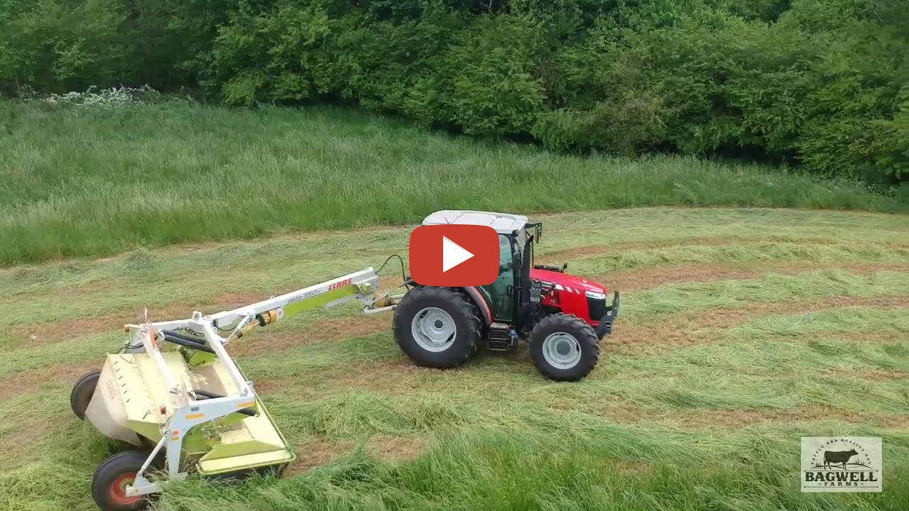 Finally i get to cut hay! --Mowing hay with the massey ferguson 4710 ...