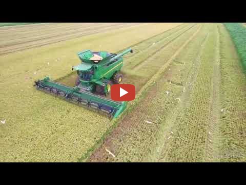2018 Louisiana rice harvest is a go with a John Deere s790 -- 440 farm ...