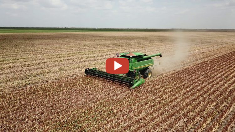 2018 Milo Harvest with John Deere equipment......Matthew Harlan