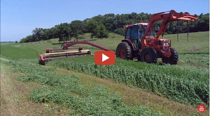 2018 Dad mowing our first crop Alfalfa! with our Kubota M9000 and International 1490 haybine ...