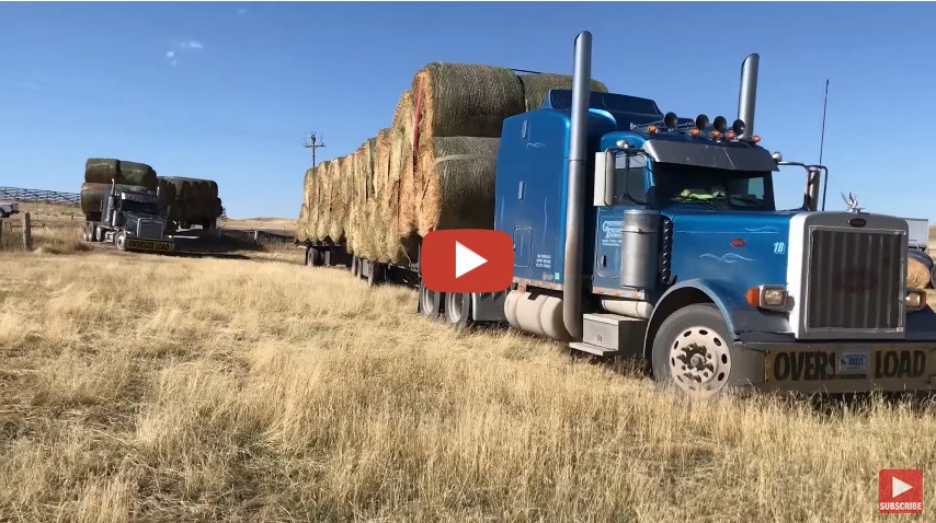 Buying Hay on the Ranch - Our Wyoming Life - After 3 years of drought ...