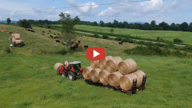 Hauling hay with the massey ferguson 4710 with a 25ft trailer 15 rolls ...
