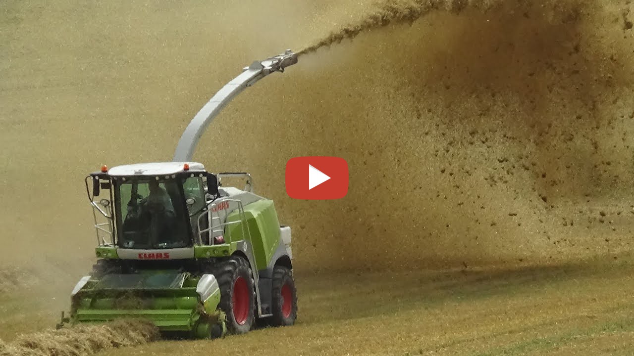 Chopping Damp & Mouldy Straw with Claas Jaguar 950 in Hampshire, UK ...