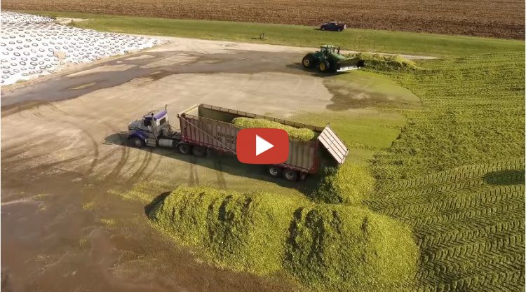 Corn Silage 2018 at Stone Ridge Dairy on August 11, 2018. Dedicated to ...
