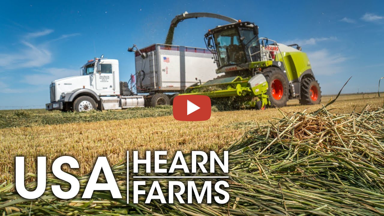 Silaging......FarmFLiX -- Hearn Farms --We are in Frederick, Oklahoma ...