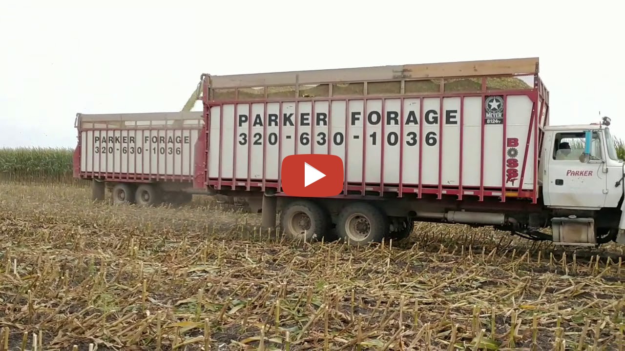2018 Corn Parker Forage with Krone harvester