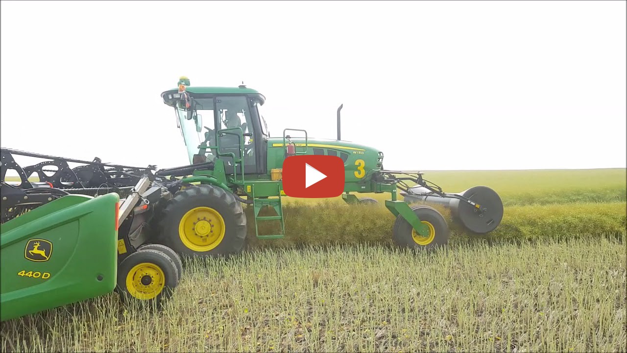 2018 Swathing canola with new John Deere W150 swather Humboldt area ...