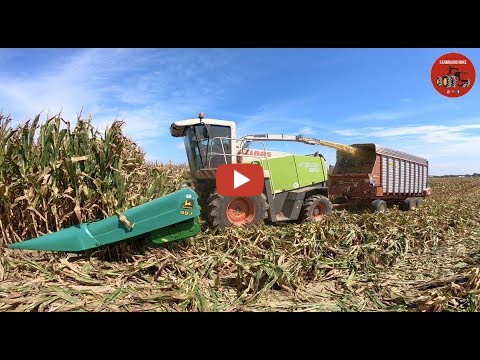 Claas Jaguar 870 forage harvester with a John Deere 893 8 row corn head ...