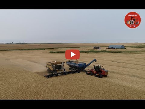 Class Lexion 760 combine with a MacDon draper head harvesting spring ...
