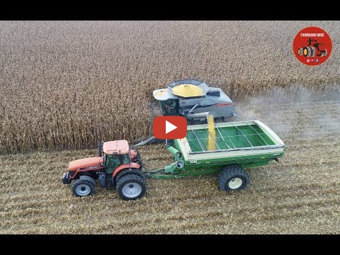 October 2018 -Two Gleaner R65 combines and 8 row corn heads harvesting ...