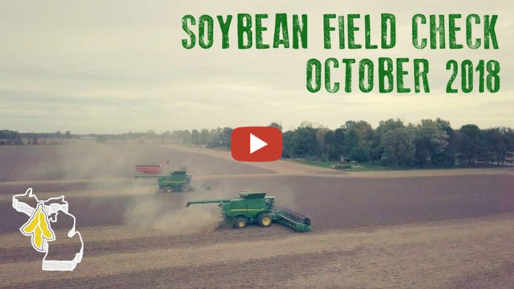 Soybean Field Check - October 2018 | Soybean Harvest --Brian Washburn ...