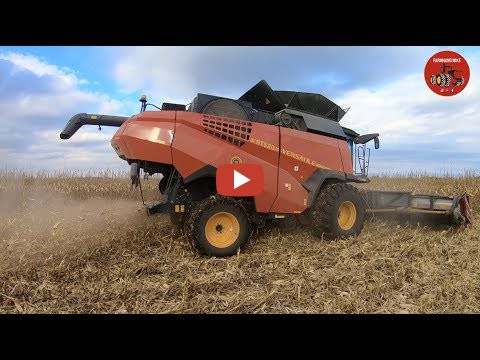 2018 Corn Harvest in Illinois - Anew Versatile RT520 combine with a 12 ...