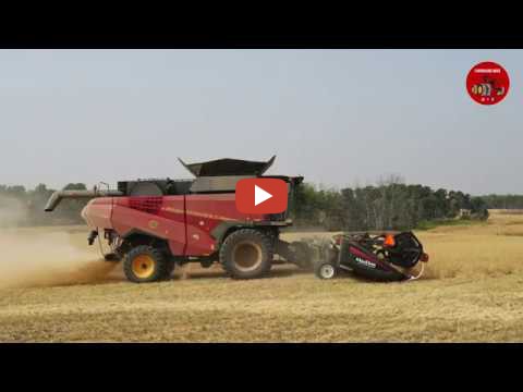 Video of a Versatile RT520 Combine Harvesting Peas near Sinclair ...