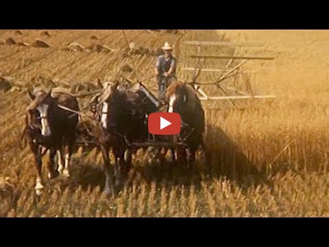 Back in Time..............Farming in America: "Agriculture USA" 1962 US ...
