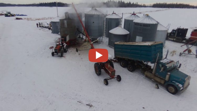 Drying canola w/ GT RB800 - Tough canola up to 15% moisture. Approx 3 ...