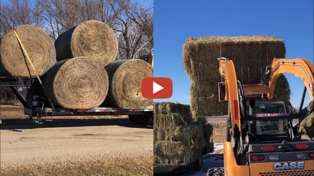 Square Bales vs Round Bales. Why are there different kinds of bales ...