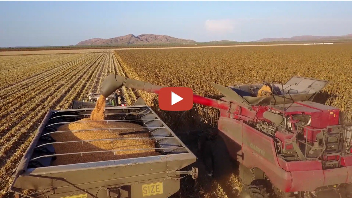 A look at the 2018 corn season, Plant, Grow, Harvest & Ship. in the Ord ...