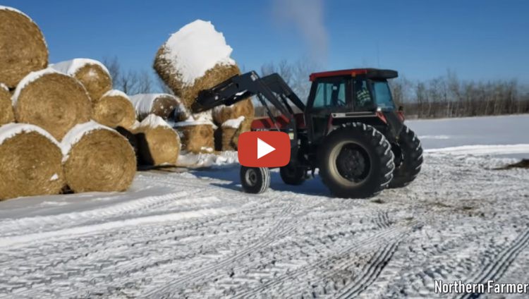 Northern farmer-40 But we Dont Stop......We have had -40 temps here all ...