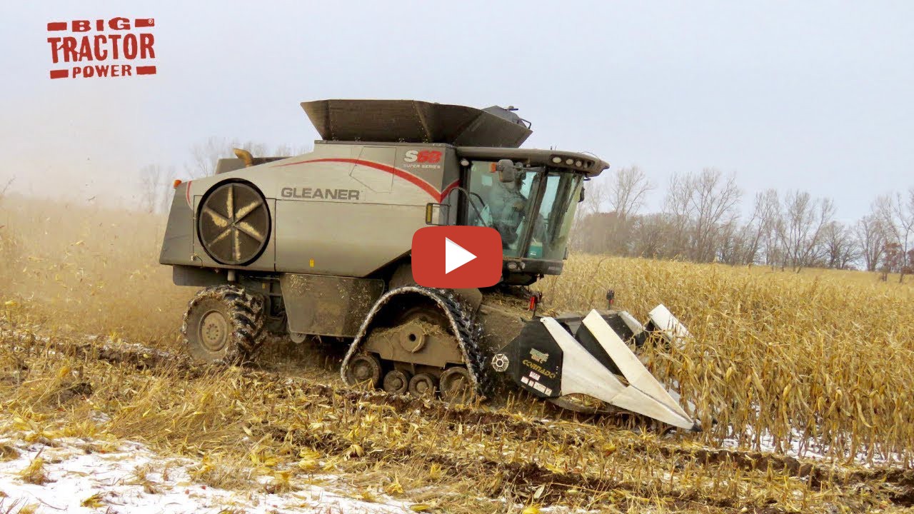 390 bu. Gleaner S68 combine equipped with tracks as it harvests corn in ...