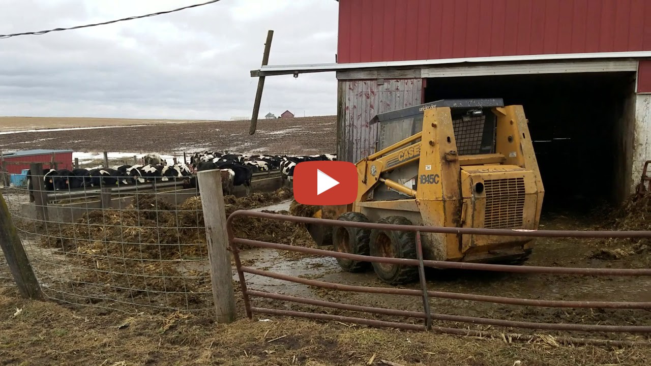 Its Mud Season -- Cleaning the barn....-- iowadairyboys