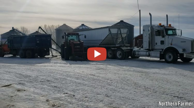 Northern farmer -- Set up the Kwik Kleen Grain cleaner to clean the ...