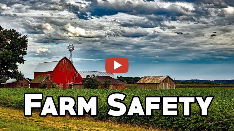 How Farms Work -- What NOT to do on a farm