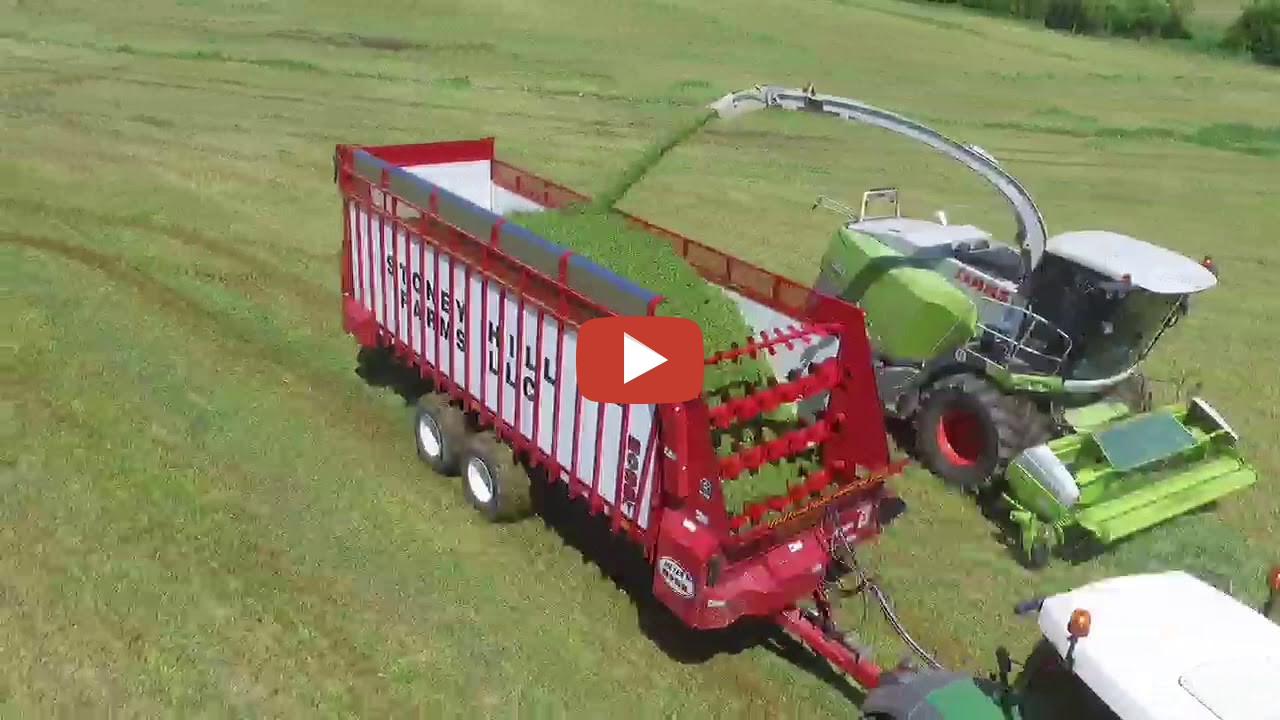 Chopping rye add South Mountain Dairy with Stoney Hill Farms using ...