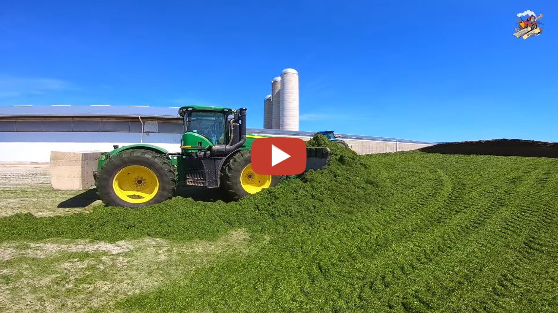 Mike Less - Farmhand Mike --Keller Farms in Burkettsville Ohio as they mow, merge, chop and haul ...