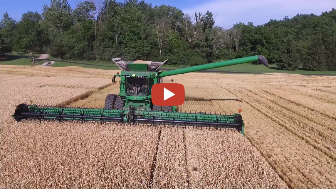 JUNIOR HARVEY FARMS BATH, IN CUTTING WHEAT JUNE 28TH, 2019 S780 COMBINE ...