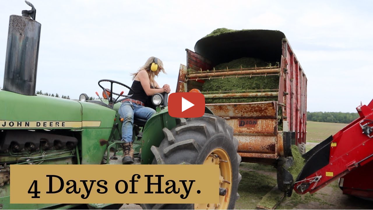 Sandi Brock -- Four Days of Making Hay. First cut hay is ready to be ...