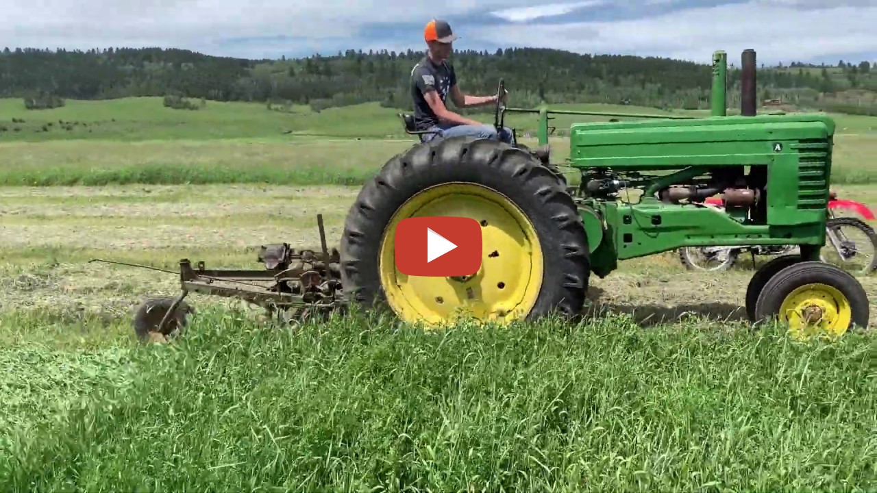 Mowing hay (a mixture of alfalfa and grass) with a John Deere Model A and Number 5 sickle mower ...