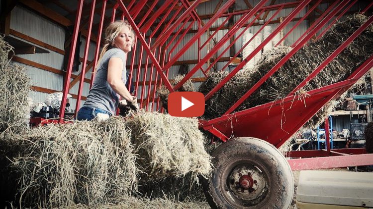 Re- Baling Hay: Saving High Moisture Dew Bales (The Final Result of the ...