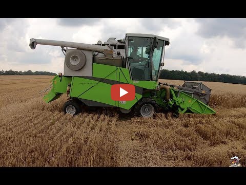 Two Wintersteiger Delta combine harvesting research plots of winter ...