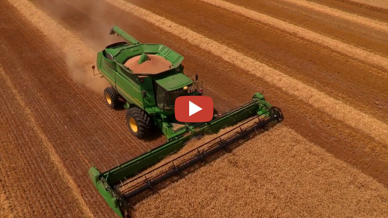 2019 Wheat harvest ........John Deere combines harvesting wheat in ...