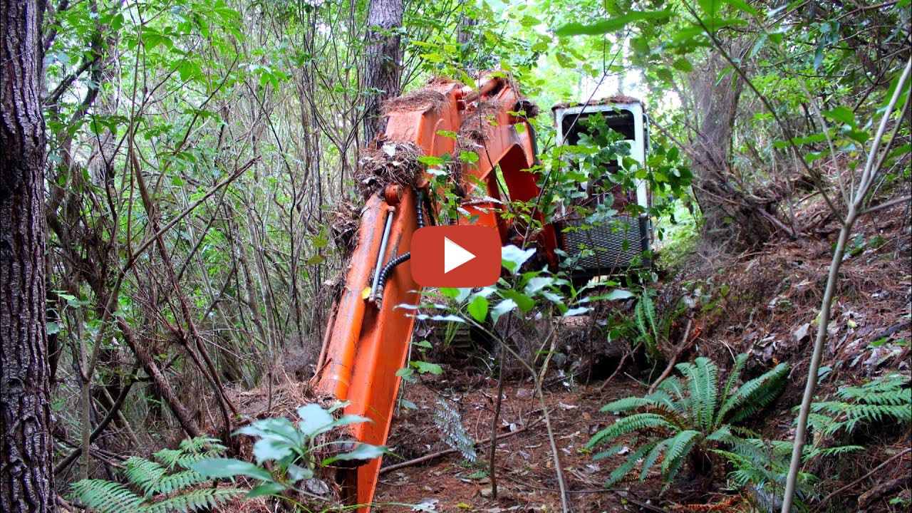 A Hitachi UH043 excavator broke down 16 years ago and left in woods ...