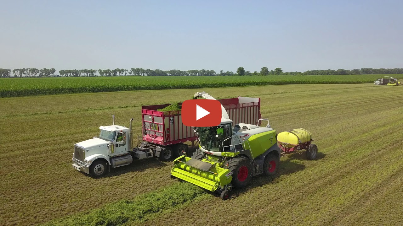 CY Harvesting, Chopping Hay 2019. John Deere, Case IH and Claas Jaguar ...