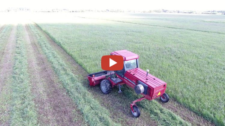 Northern farmer --FINALLY ABLE TO MOW HAY!!! A few good days in the ...