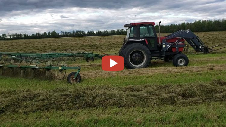 Northern farmer - Still trying to get some hay up. Raking Hay And More ...