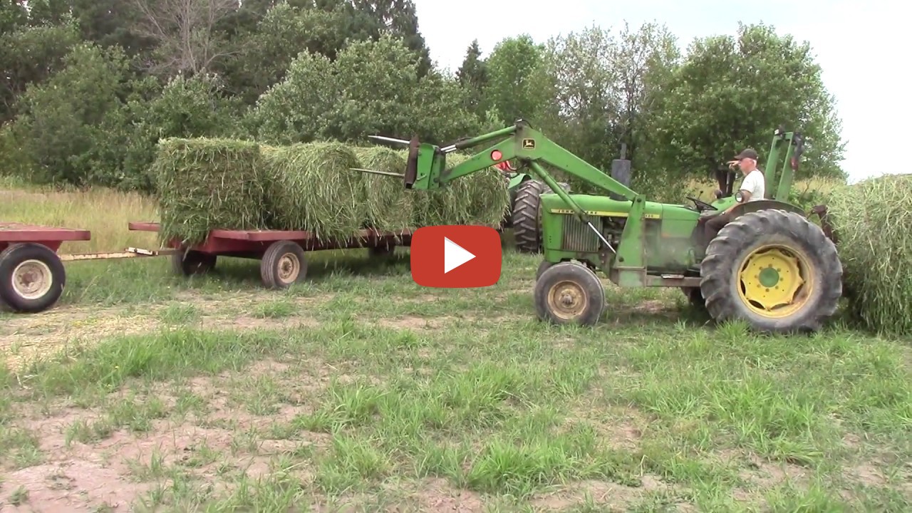 Oats silage and triticale and peas silage in a 4X4 round bale. The ...