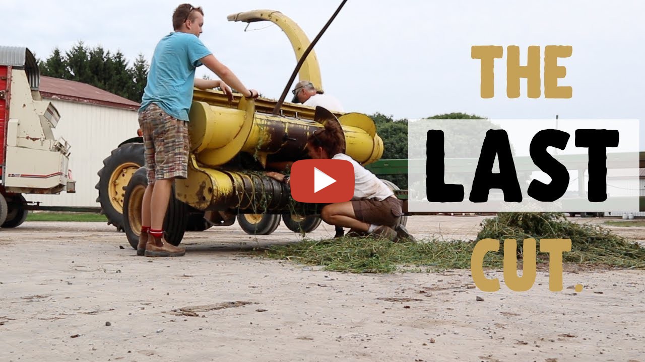 Third Cut Hay 2019 (THE LAST CUT.) John Deere chopper problems -- Sandi ...