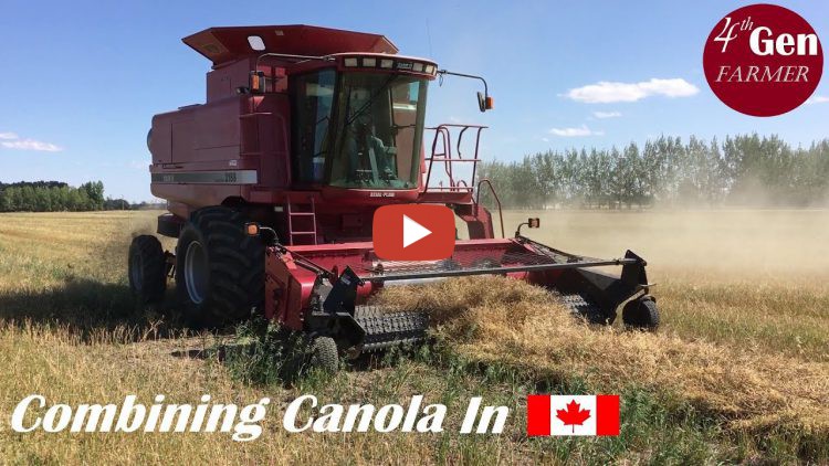 4th Gen Farmer - Harvesting canola with our Case IH 2188 Axial-Flow ...