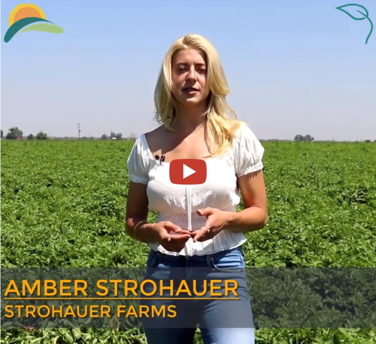 Amber's family have been growing potatoes since 1901, making her a ...