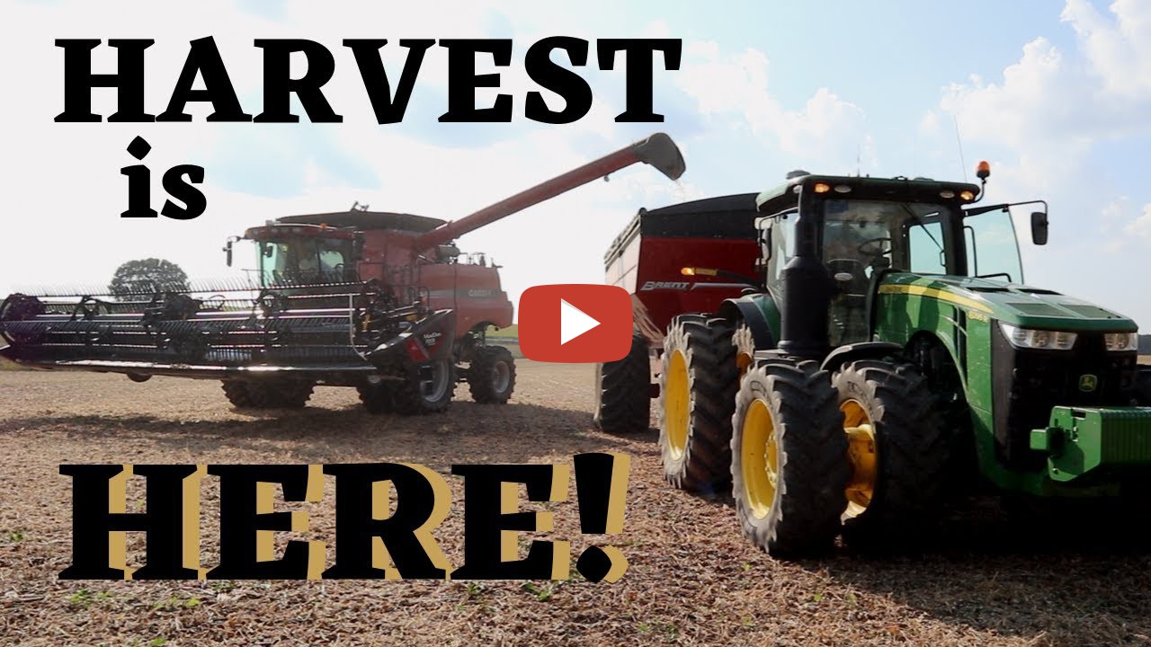 Sandi Brock - After a late, wet spring pushing planting dates a month ...